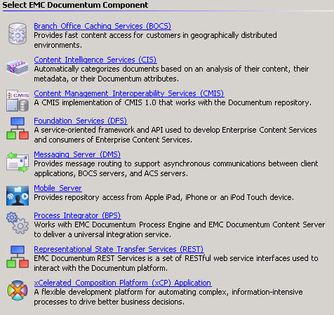Using the Documentum D6/xCP Plus Wizard Platform Components