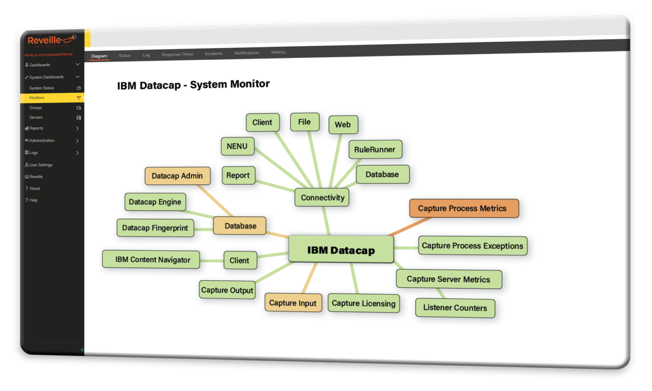 IBM Datacap Agentless Monitoring- Reveille Software