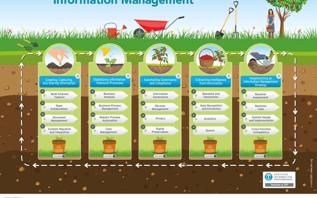 5 Steps to Intelligent Information Management (IIM) | Reveille Software